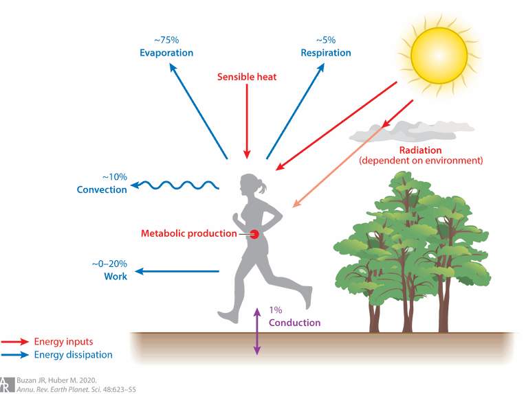 Adaptation to Human Heat Stress - I-GUIDE Platform